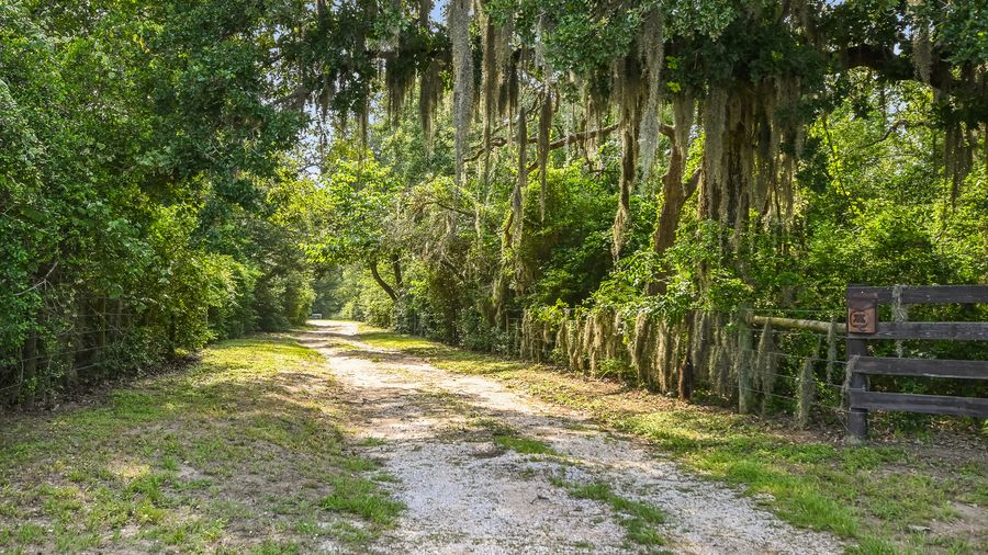Magical 32.25 Acre Farm Near Round Top - Houston Business Journal